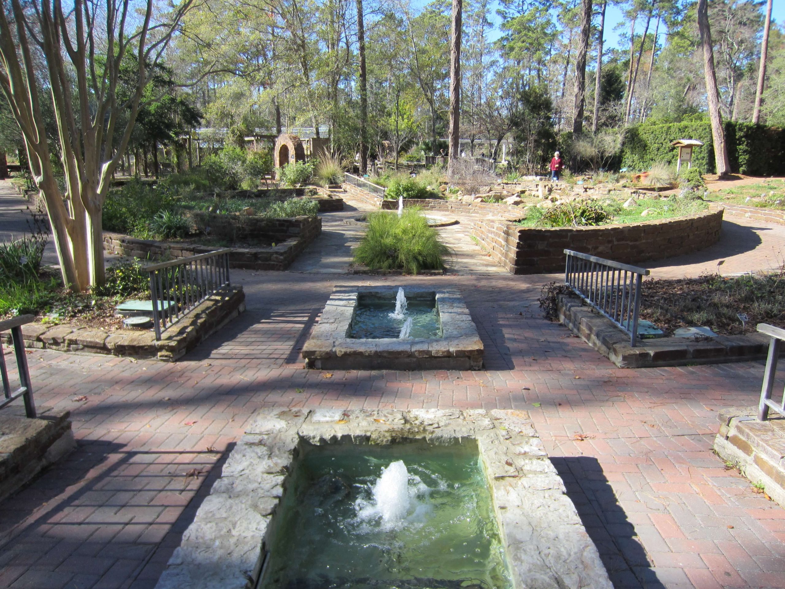 Mercer Botanical Gardens - Restoration Champ